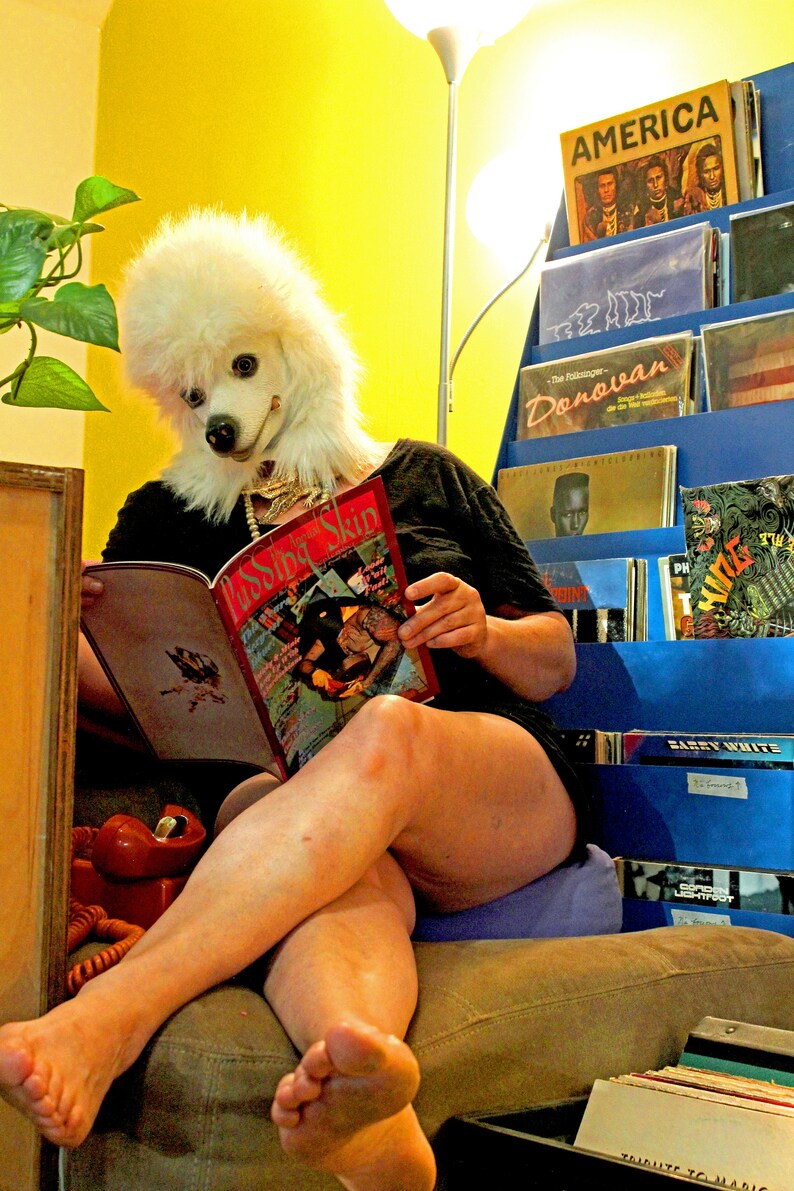 The Annual Pudding Skin Magazine September 2022 - Etsy