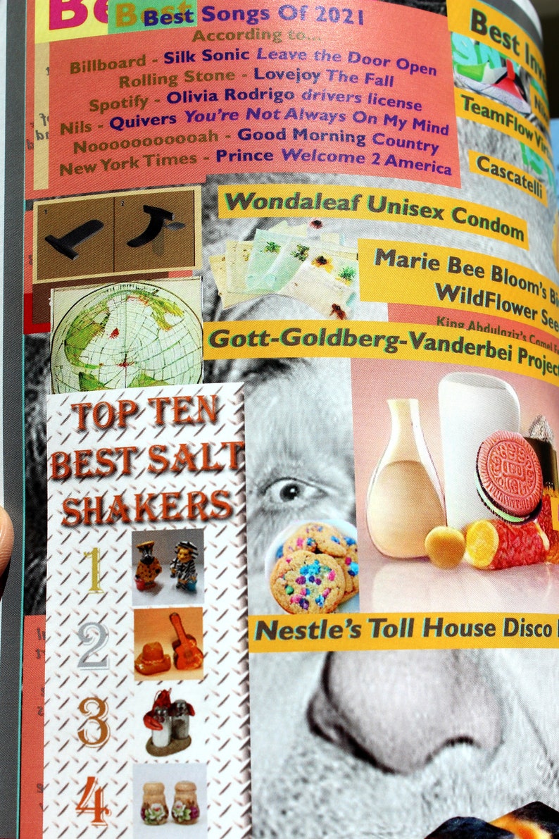 The Annual Pudding Skin Magazine September 2022 - Etsy