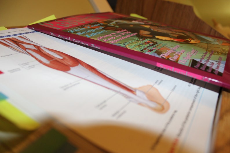 The Annual Pudding Skin Magazine September 2022 - Etsy