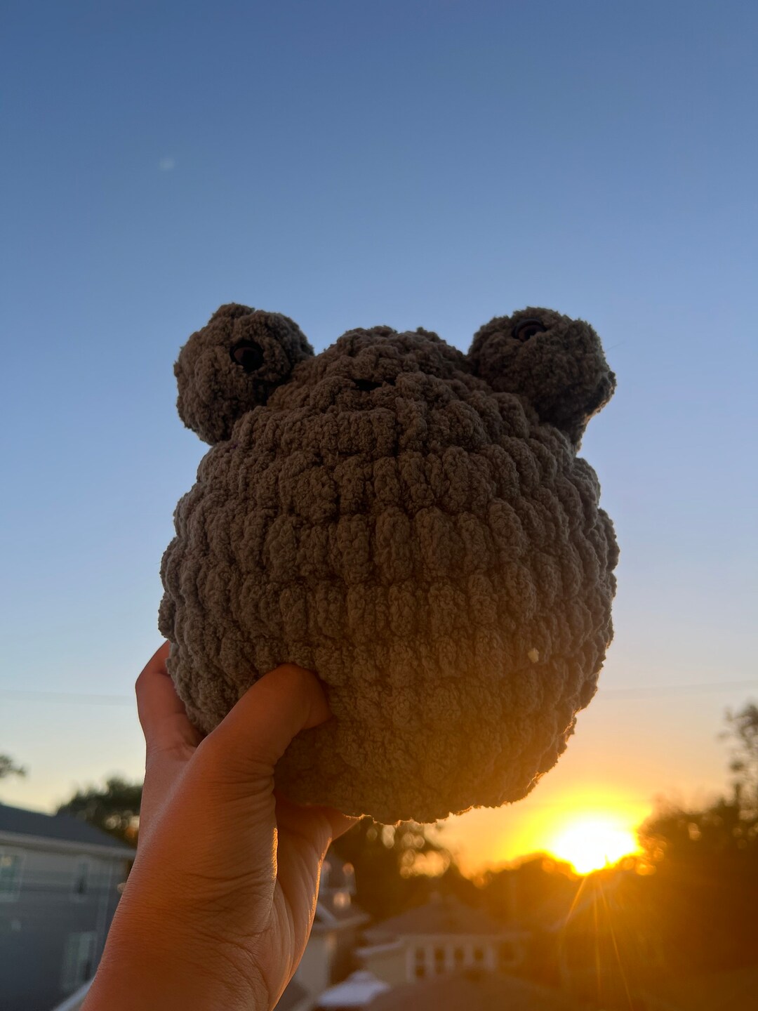 Rodger the Frog Plushie - Etsy