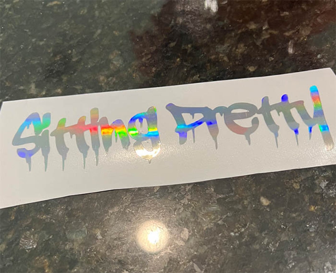 Sitting Pretty Oil Slick Chrome Vinyl Decal - Car Truck SUV JDM - Etsy