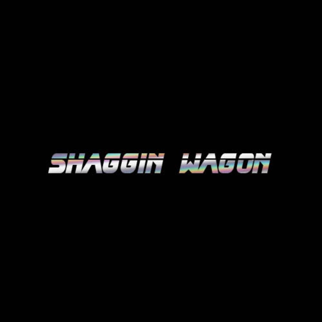 Shaggin Wagon Vinyl Decal Sticker Oil Slick Chrome Window Bumper JDM - Etsy