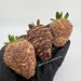 Crunch Crumble Topping Recipe Digital Download 9 Dessert Toppings - Etsy