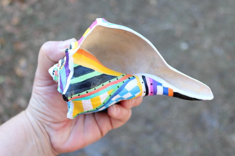 Decorative Conch Shell Hand Painted - Etsy