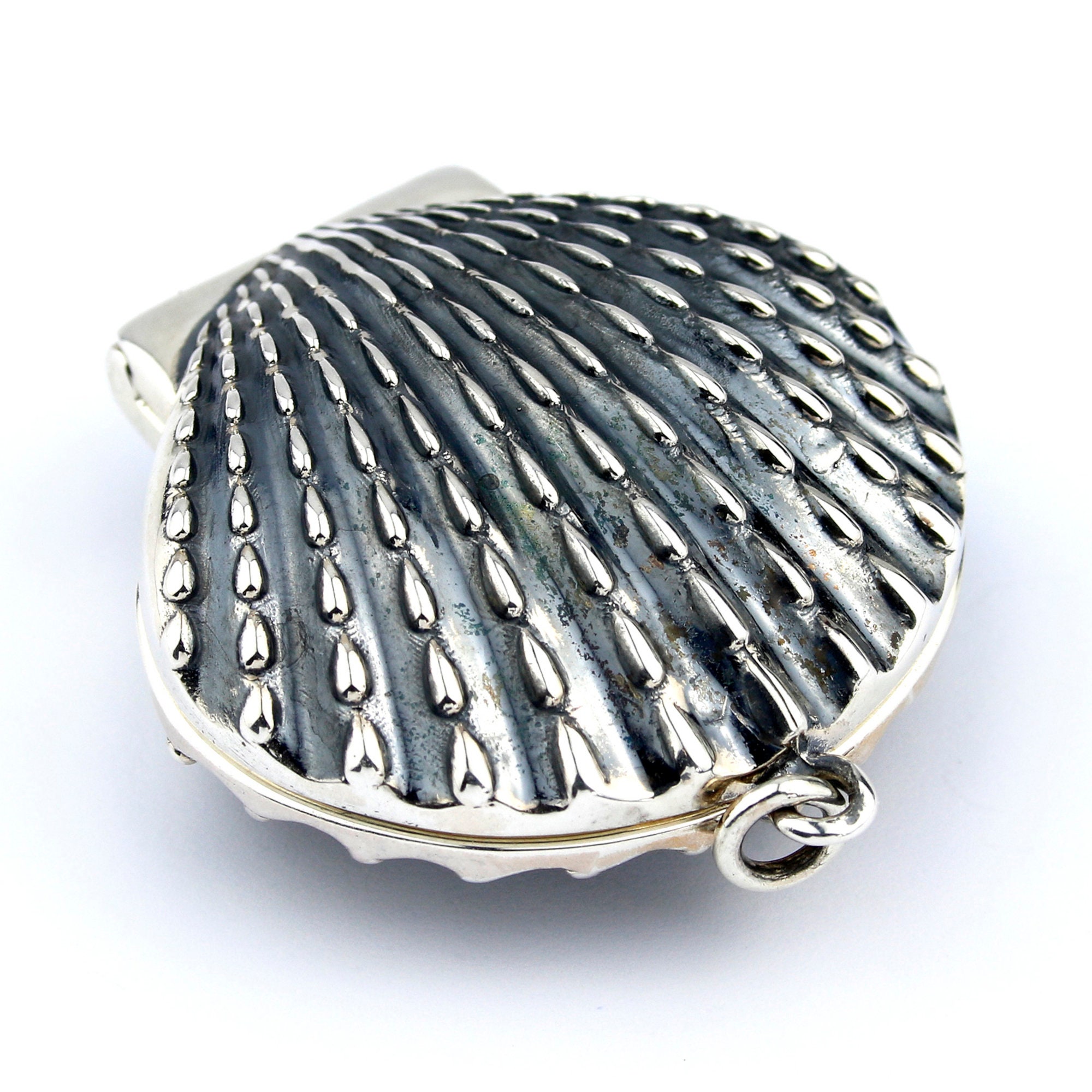 St. James Scallop Shell Medallion - Etsy