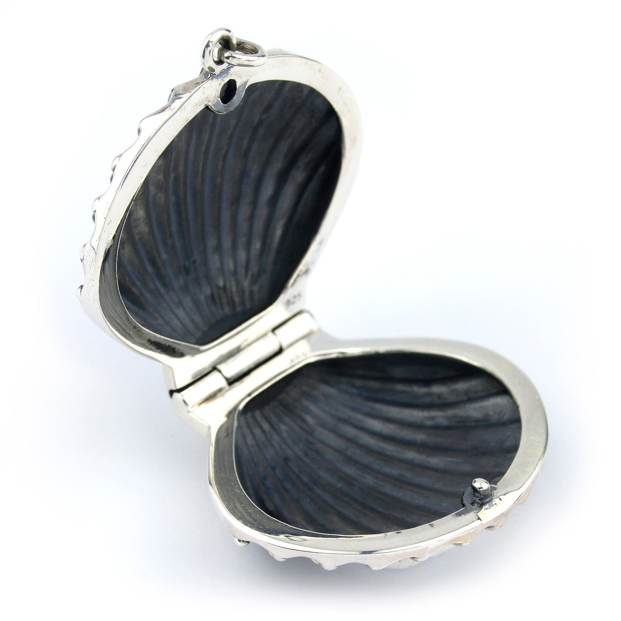St. James Scallop Shell Medallion - Etsy