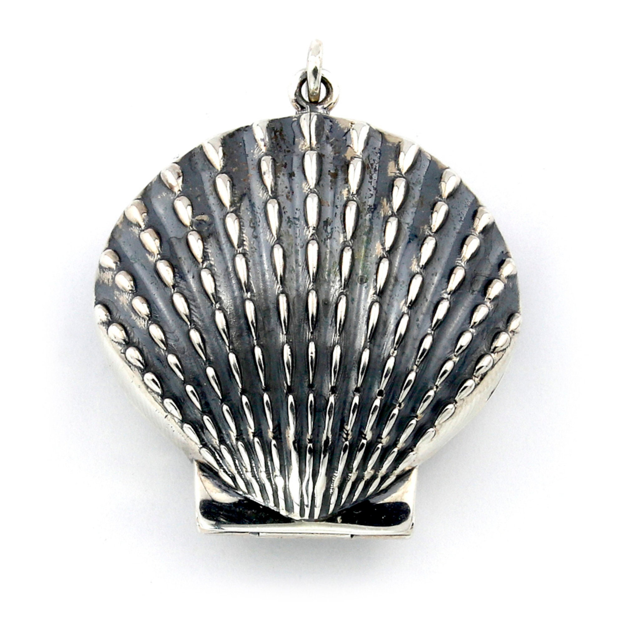 St. James Scallop Shell Medallion - Etsy