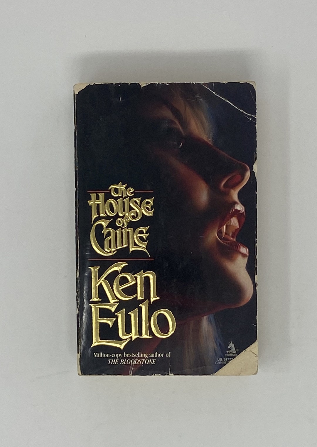 The House of Caine by Ken Eulo || Vintage 80s Vampire Horror Fiction ...