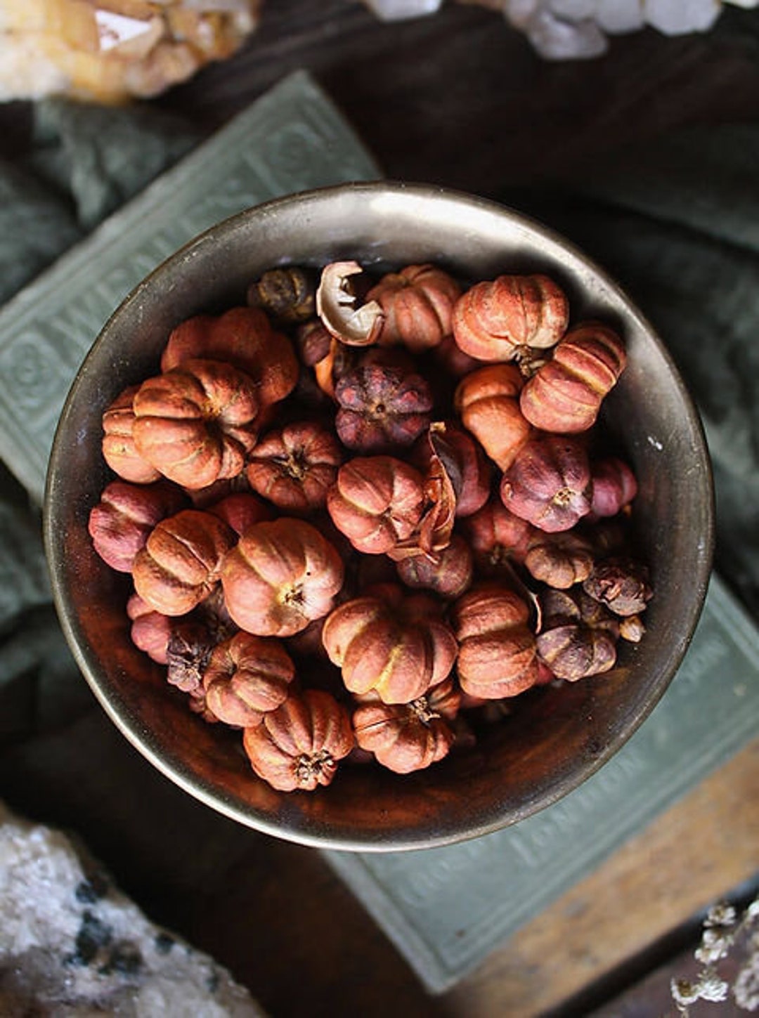 PUTKA PODS Magick Herbs Organic Herbs Ritual Herbs Witchy Herbs ...