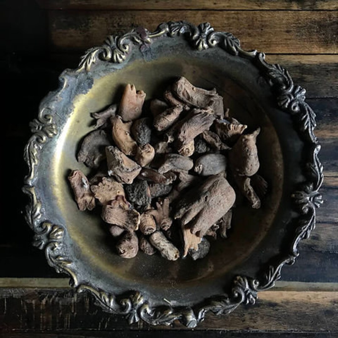 LUCKY HAND ROOT 100% Organic Powerful Roots Amulet Abundance Money ...