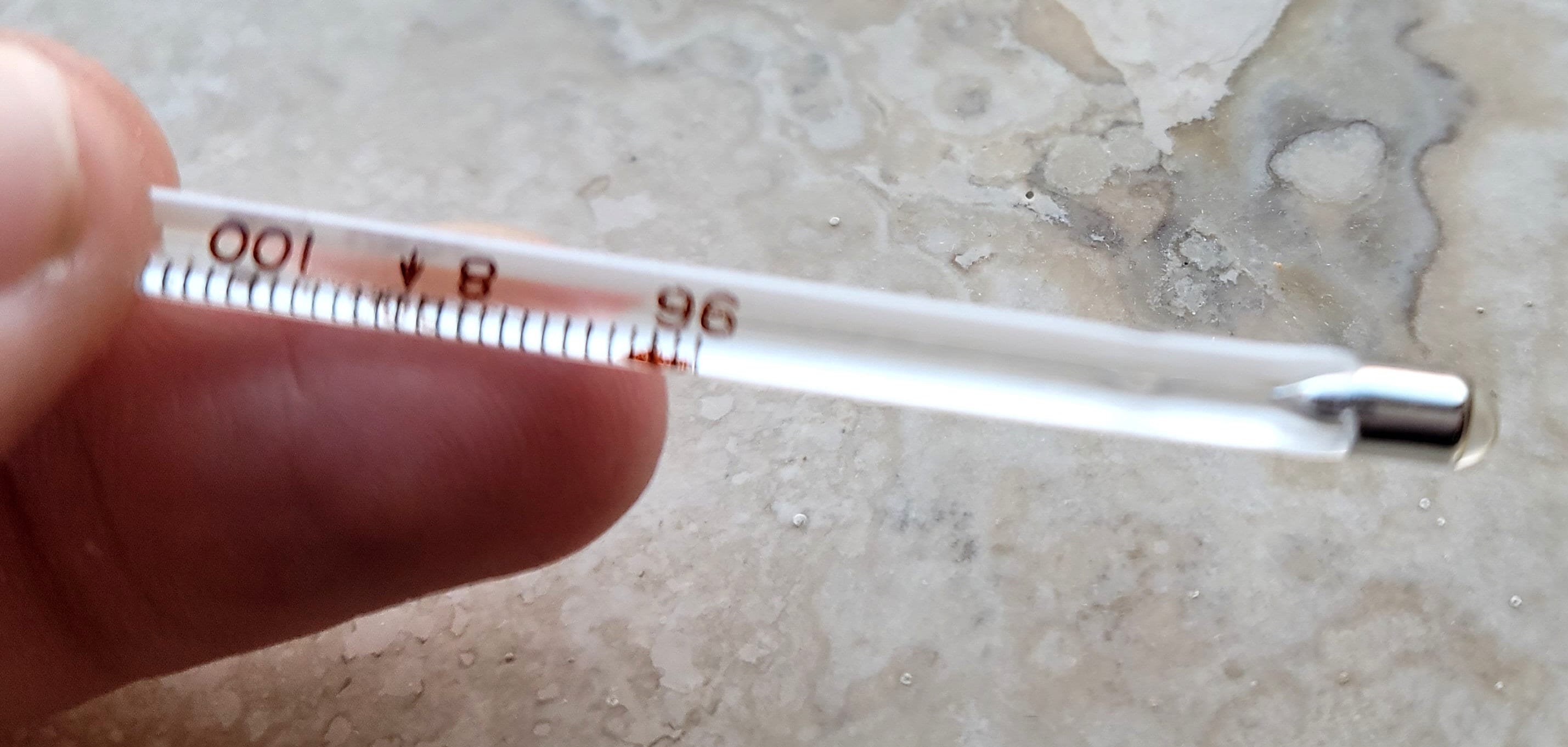 Vintage Antique Trophy EVRMARK Rectal Thermometer 7980 FIB - Etsy