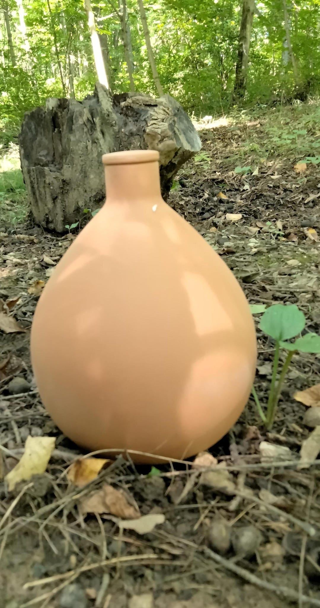 Olla Oya 3 Liter/100oz Garden Watering Pot Medium 9.5x 7.5” - Etsy