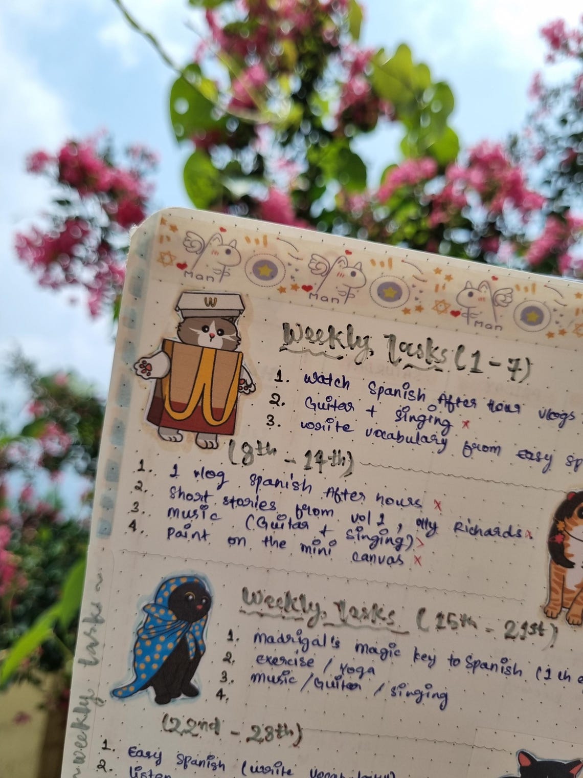 Internet Meme Cats - Digital Pack of 10 | Goodnotes | Notability ...