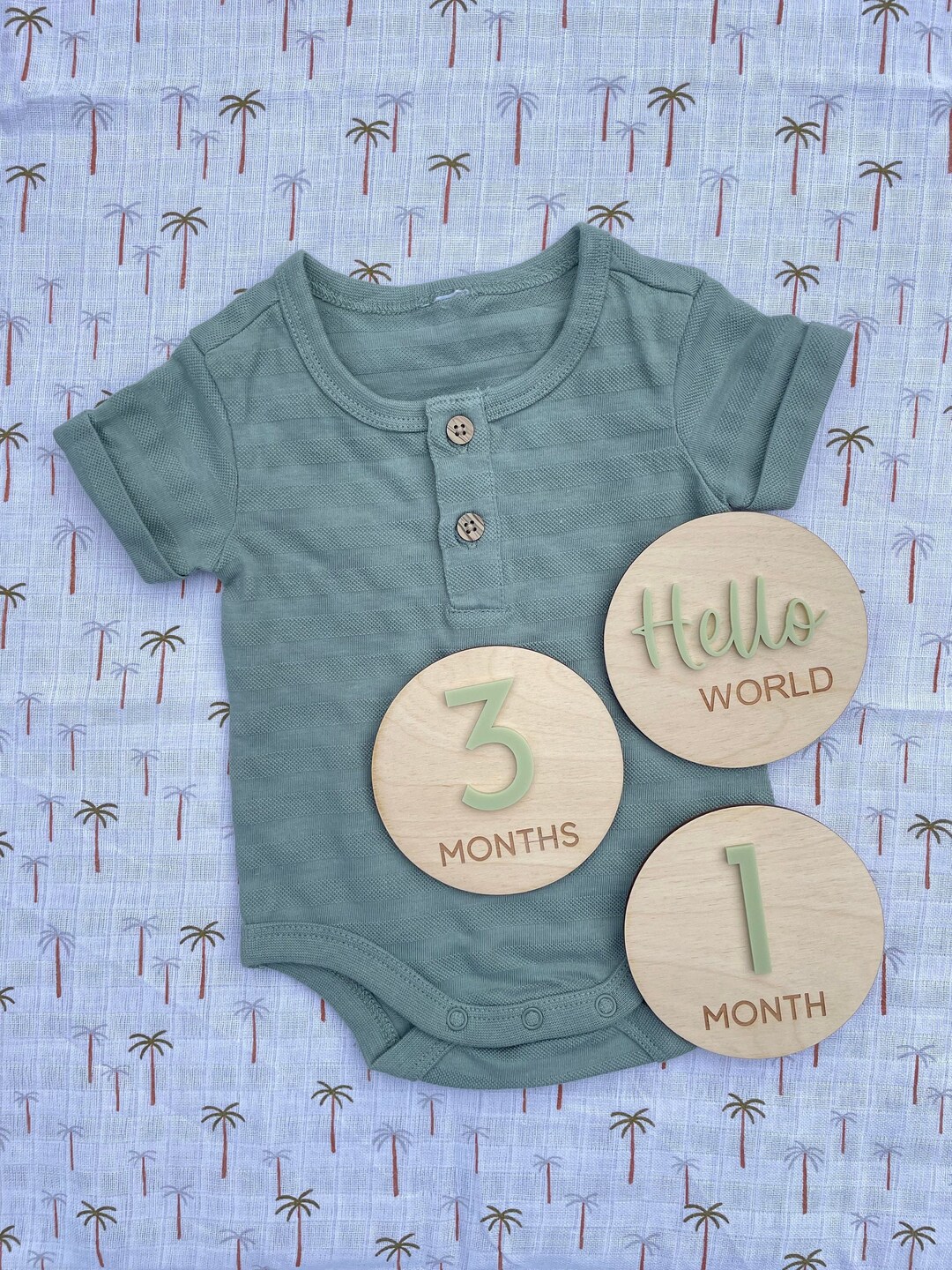 Interchangeable Milestone Discs Sustainable Milestone Disc Baby Photo ...