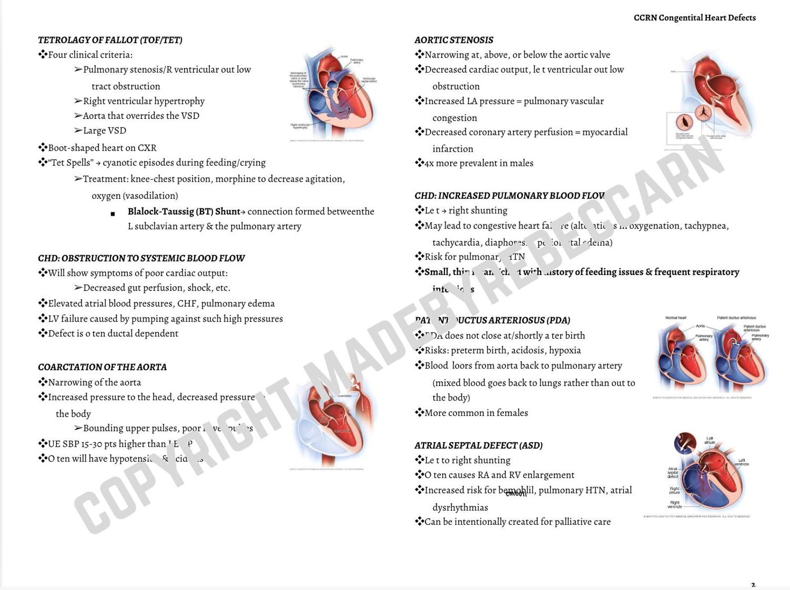 Pediatric CCRN - Congenital Heart Defects Study Guide - Etsy