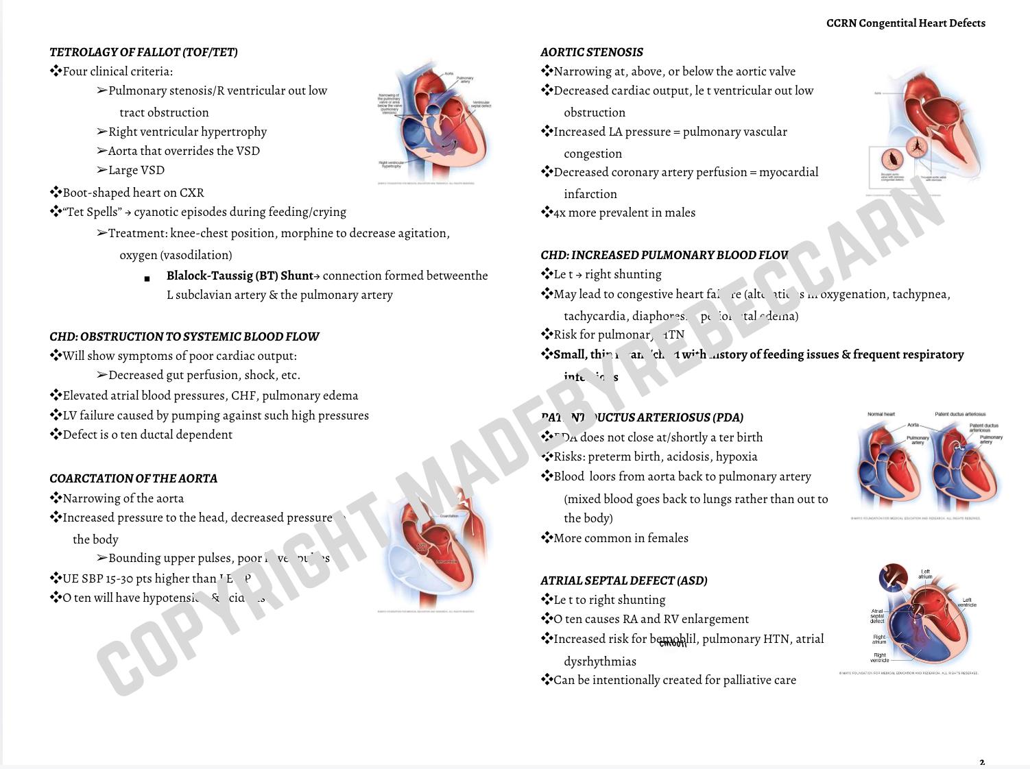 Pediatric CCRN - Congenital Heart Defects Study Guide - Etsy