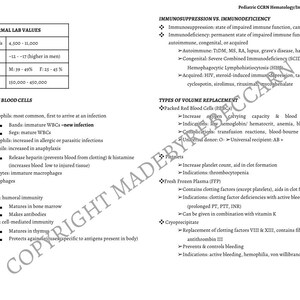 Pediatric CCRN - Hematology & Immunology Study Guide - Etsy