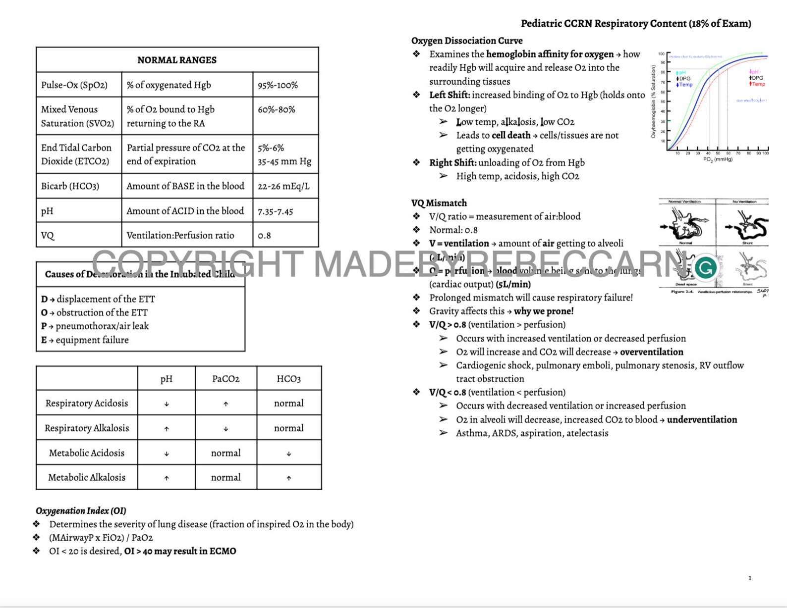 Pediatric CCRN - Respiratory Study Guide - Etsy