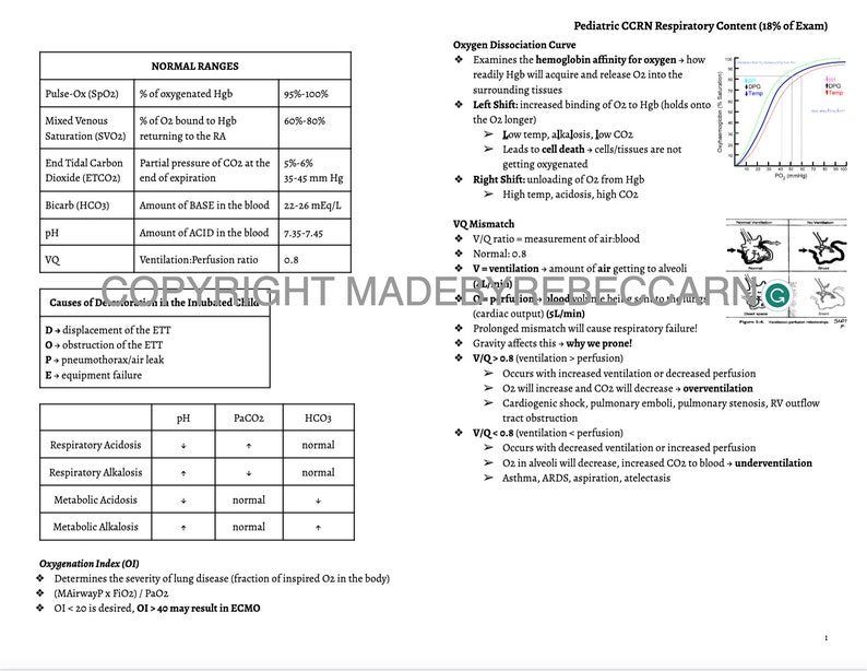 Pediatric CCRN - Respiratory Study Guide - Etsy