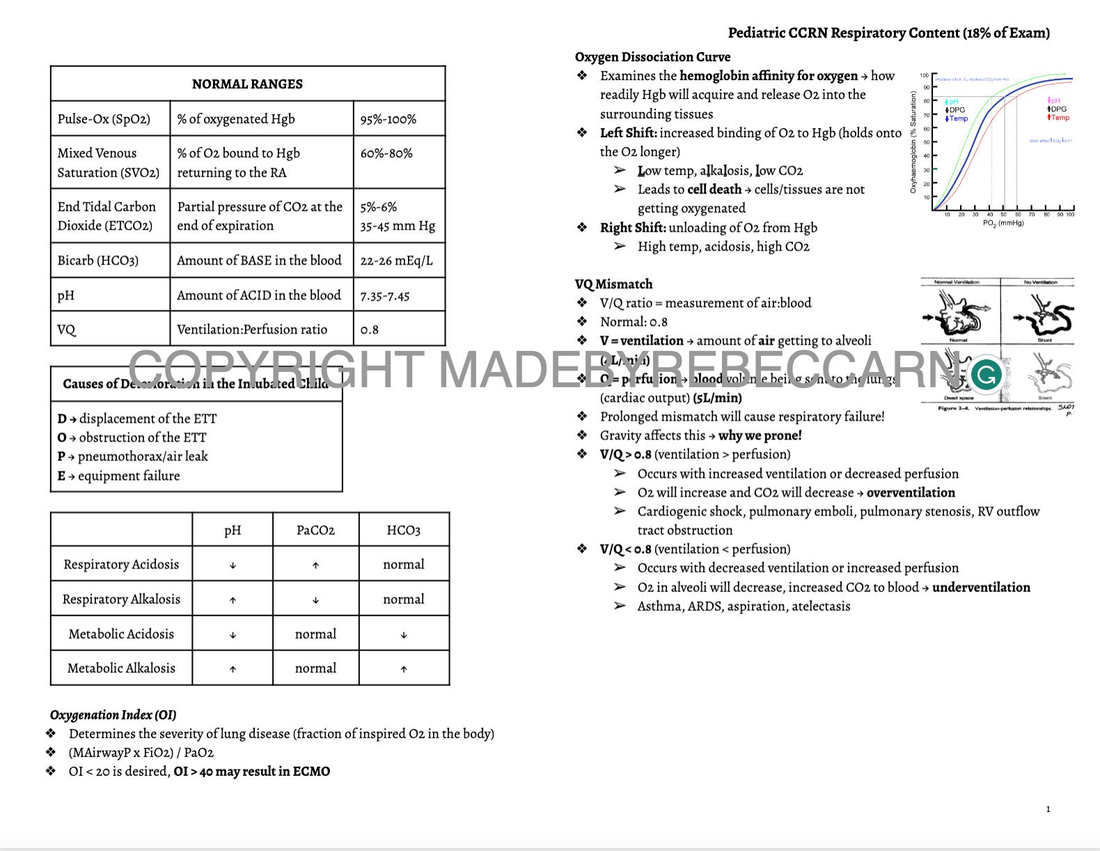 Pediatric CCRN - Respiratory Study Guide - Etsy
