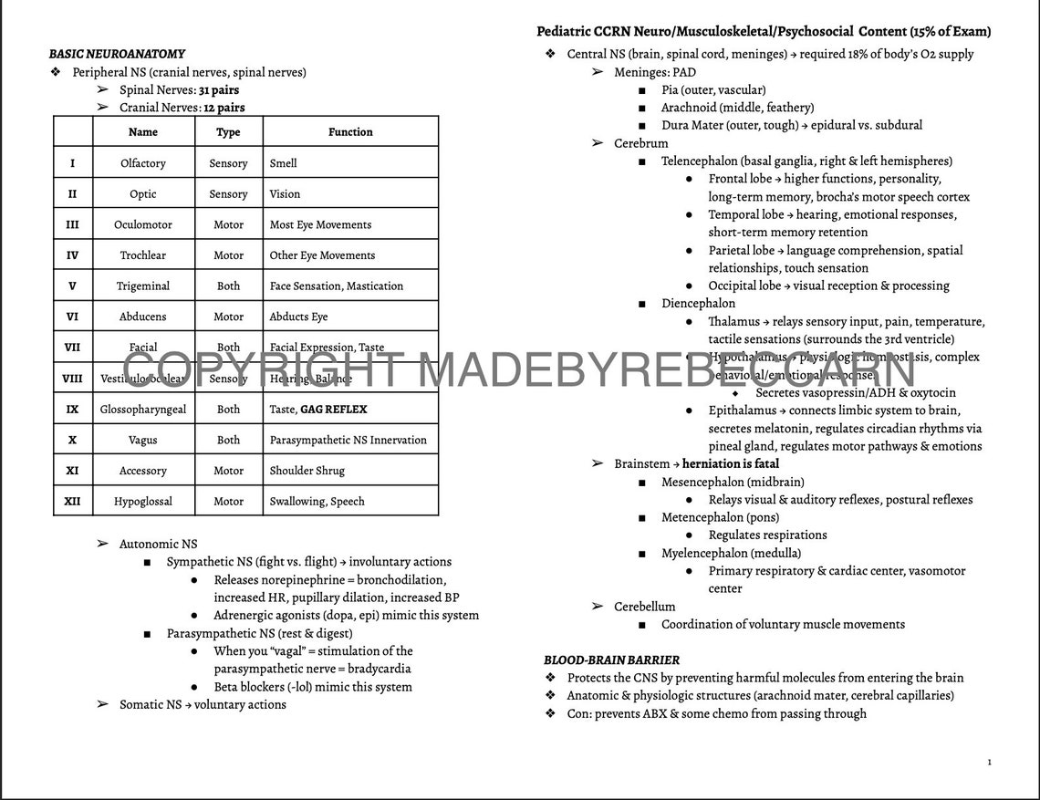 Pediatric CCRN - Neuro Study Guide - Etsy