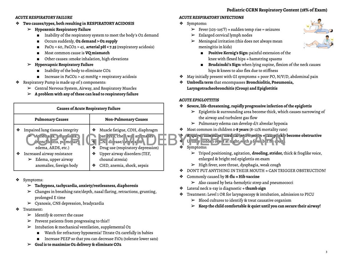 Pediatric CCRN - Respiratory Study Guide - Etsy