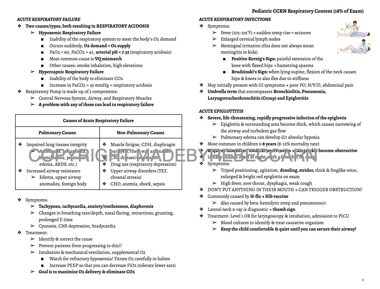 Pediatric CCRN - Respiratory Study Guide - Etsy