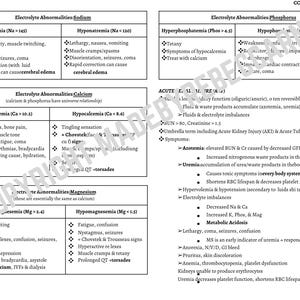 Pediatric CCRN - Renal Study Guide - Etsy
