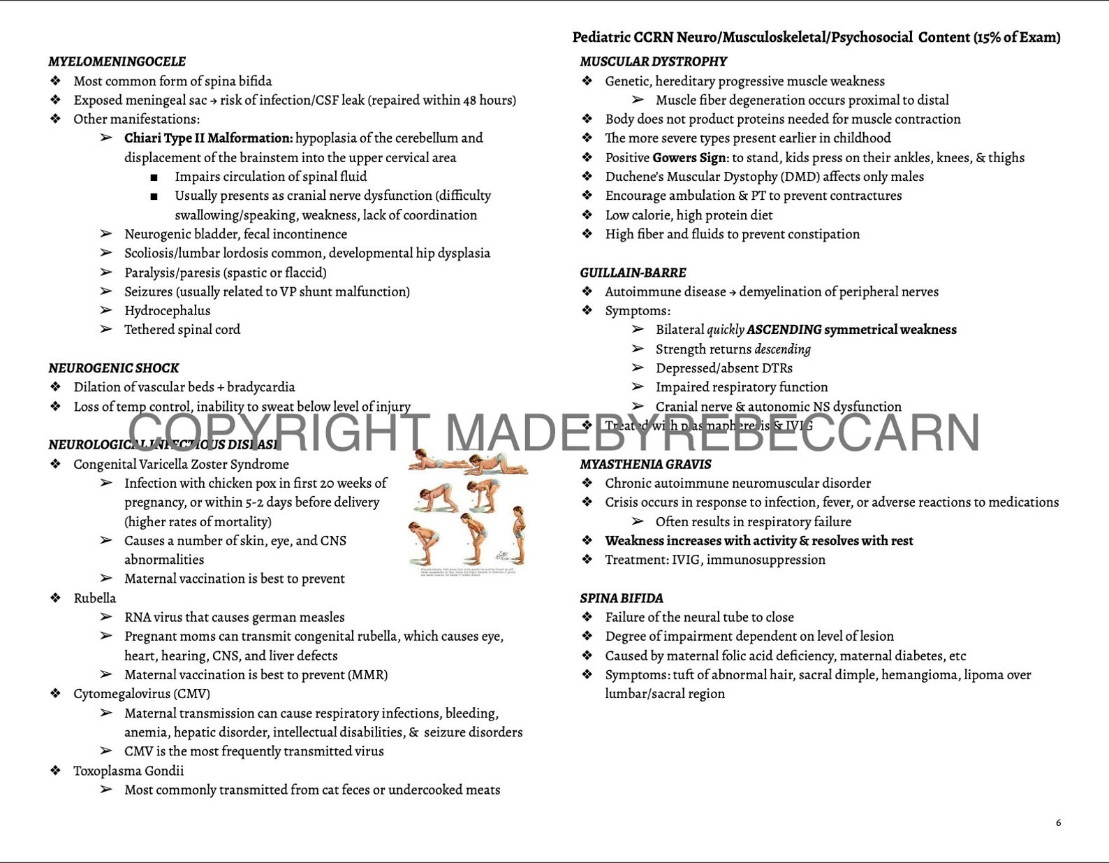 Pediatric CCRN - Neuro Study Guide - Etsy
