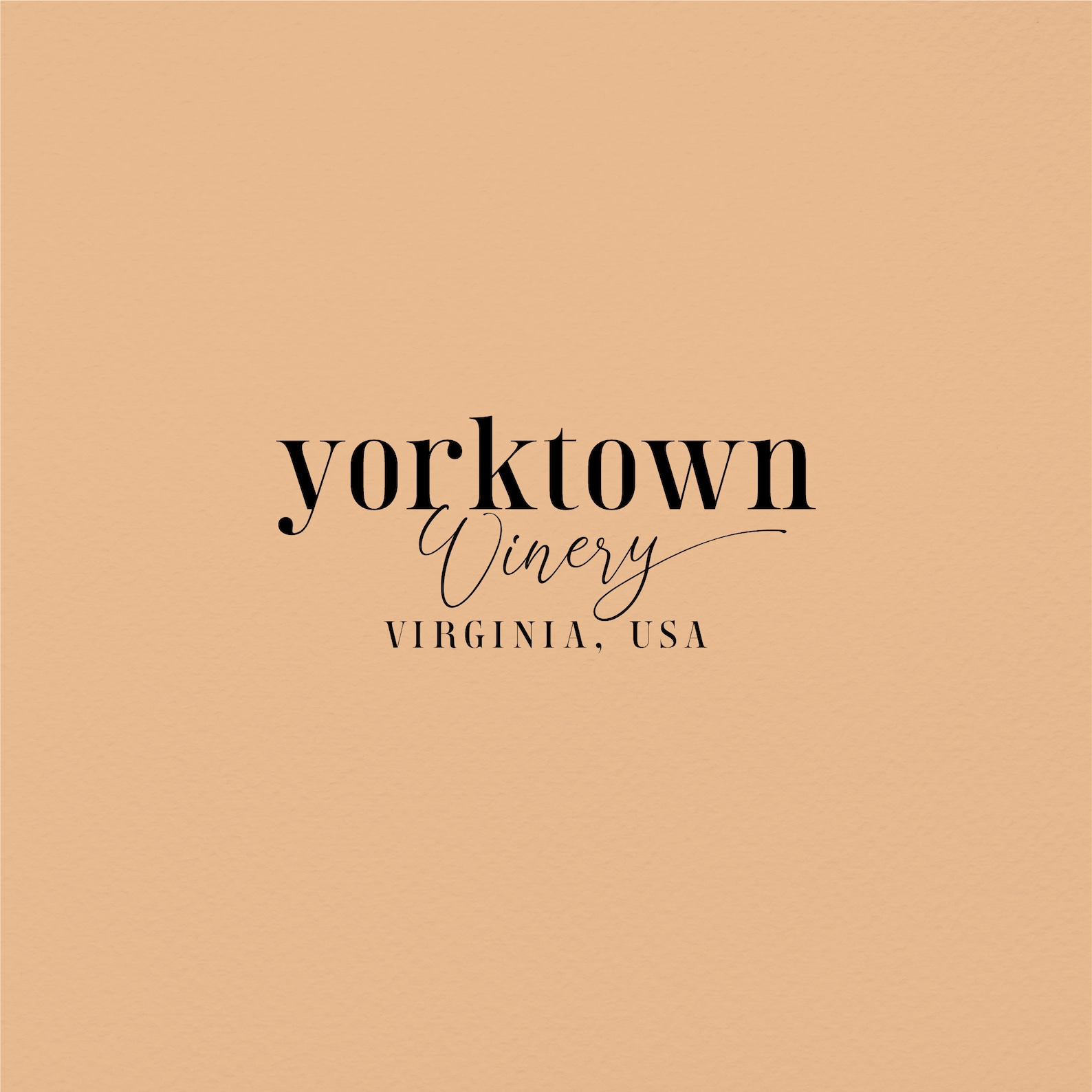 Text-only Logo Design, Typography Logo, Custom Logo Design, Clean Line ...