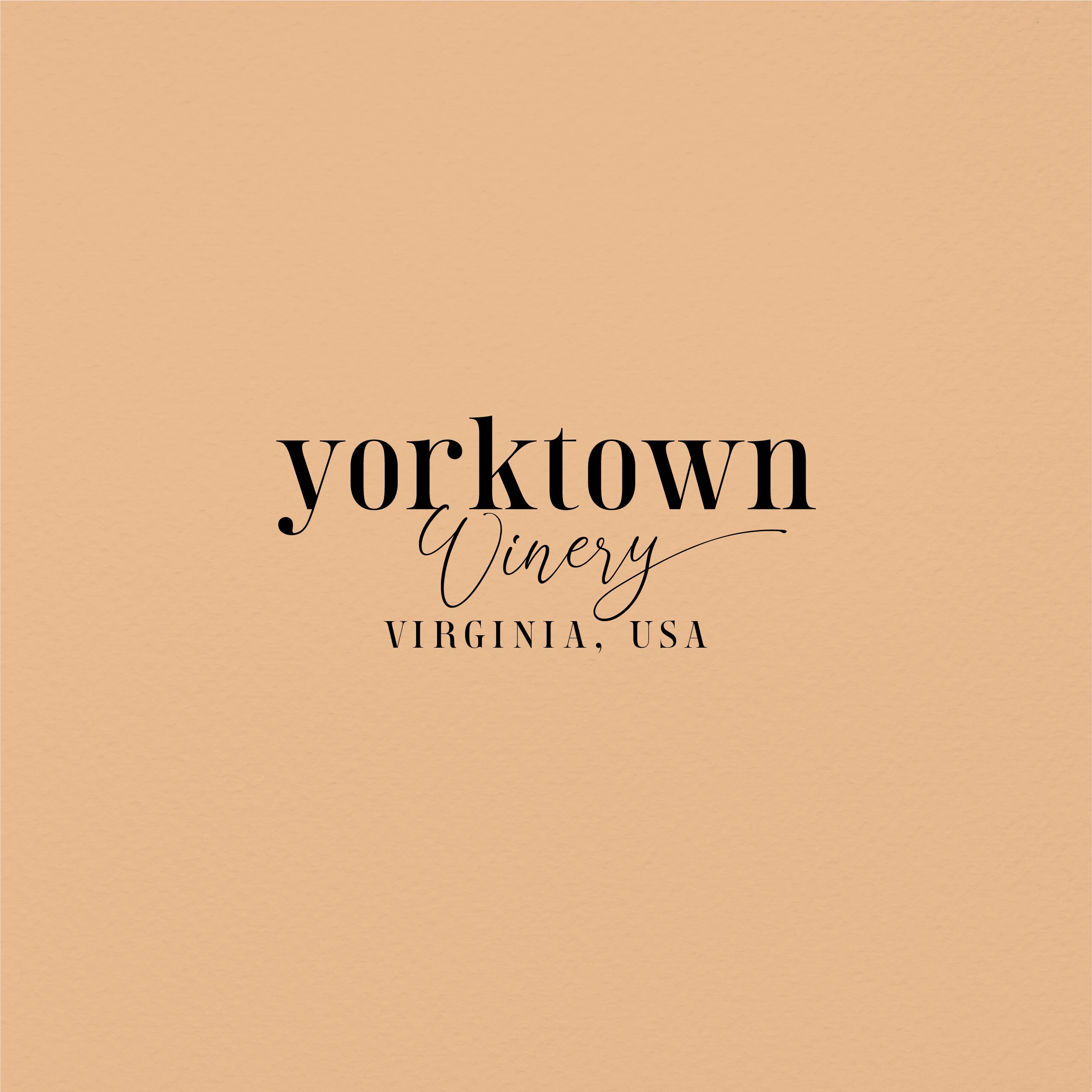 Text-only Logo Design, Typography Logo, Custom Logo Design, Clean Line ...