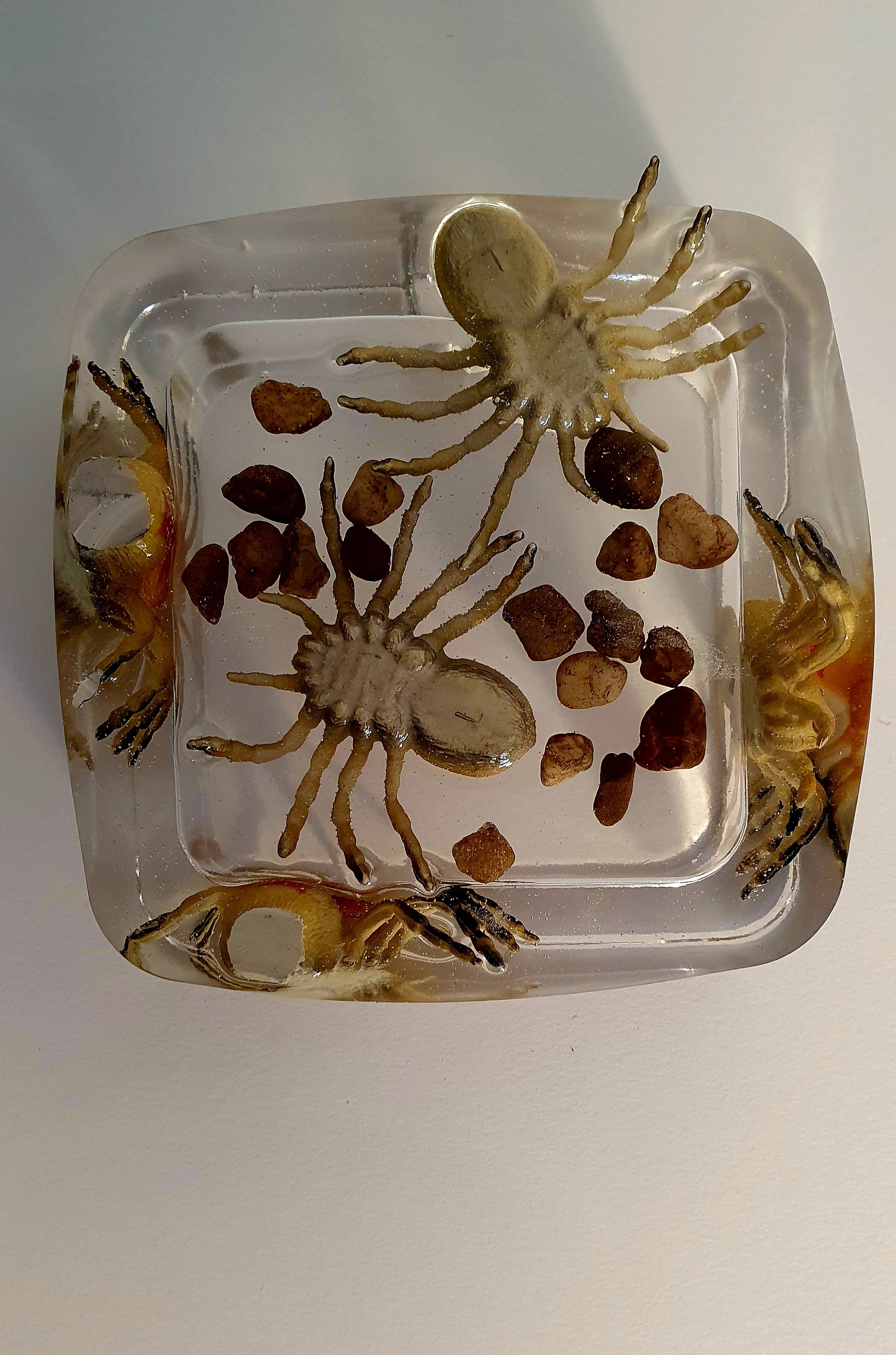Resin Ashtray With Floating Spiders, Cigarette Ashtray, Cigar Ashtray ...