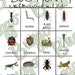 Kids Bug Hunt Activity Leaves Printable Backyard Nature Scavenger Hunt ...