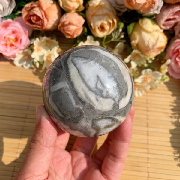 Black and White Fossil Shell - Etsy