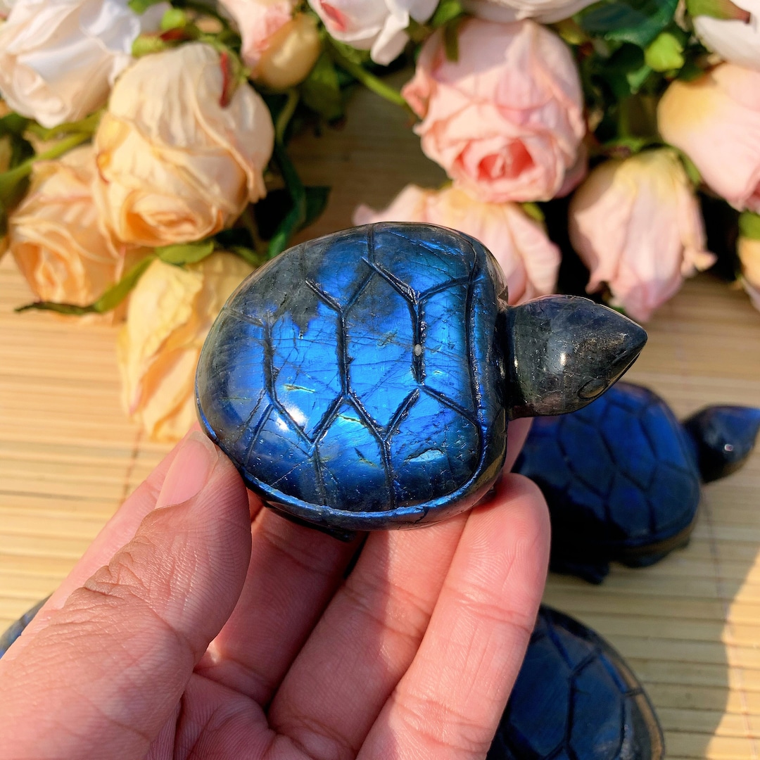 Hand Carved 2.5" Labradorite Turtle: Dark Blue Crystal Figurine ...