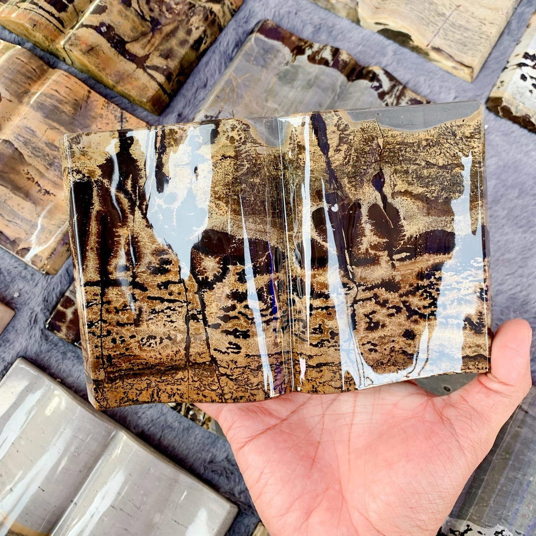 1PC Handmade Picture Jasper Book Decor, Dendritic Jasper Crystal for ...