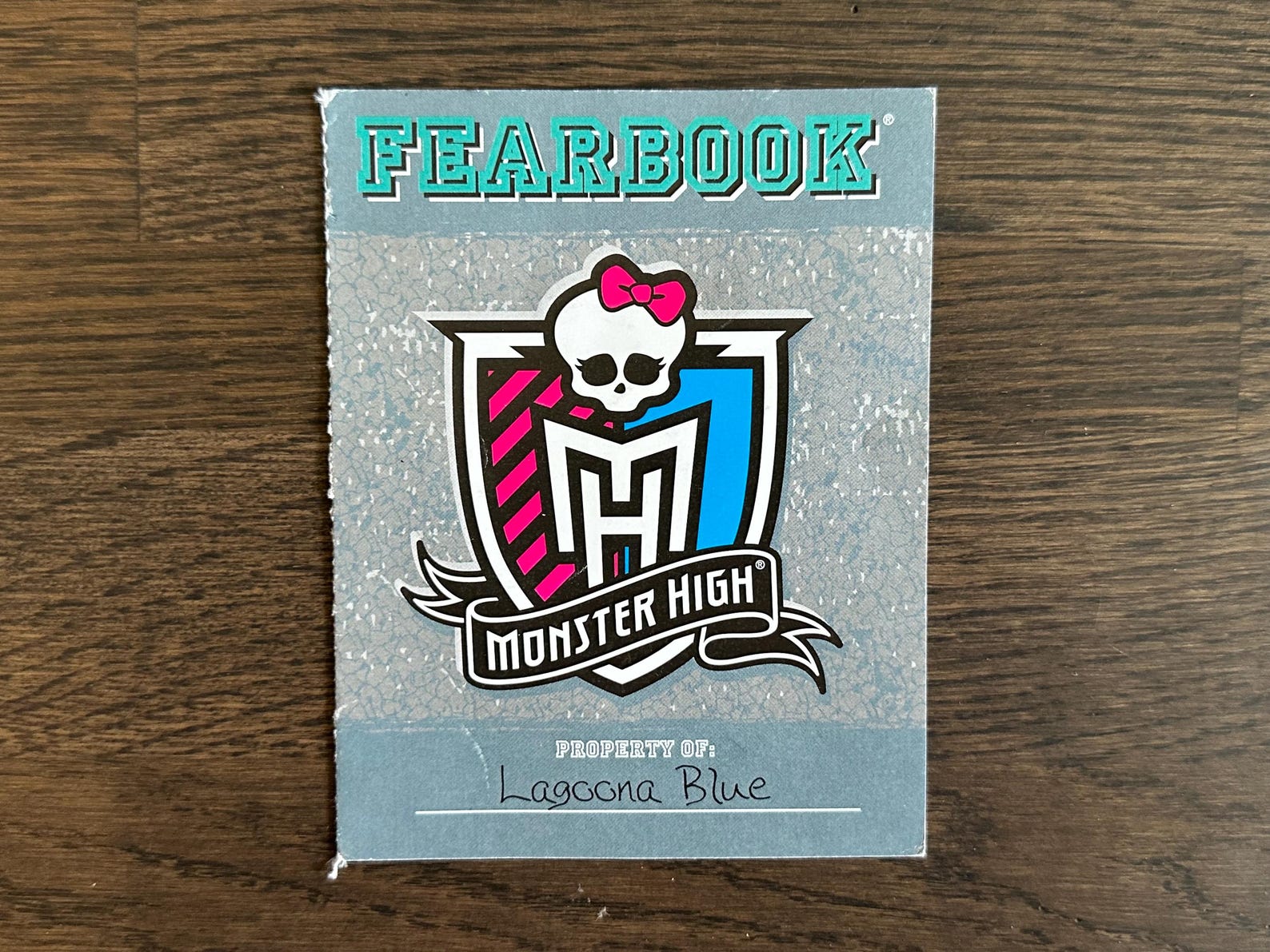 Lagoona Blue ~ Picture Day ~ Fearbook Diary - Etsy