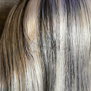 Frankie Stein Ghouls Alive, COMPLETE - Etsy