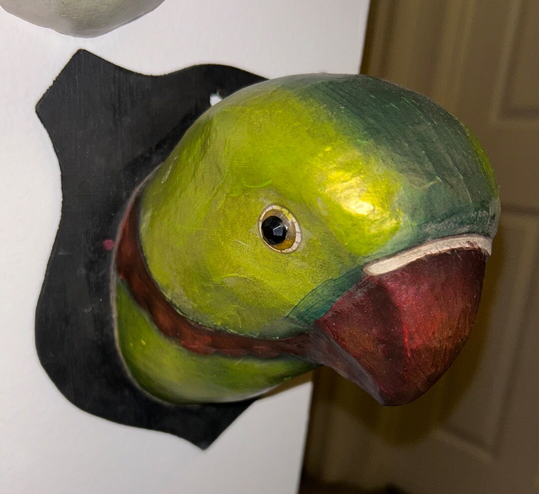 Faux-taxidermy Green Parrot Head - Etsy