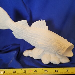 FREE USA Shipping! Prize Striped Bass Rock Fish! U Paint Ceramic Bisque ...