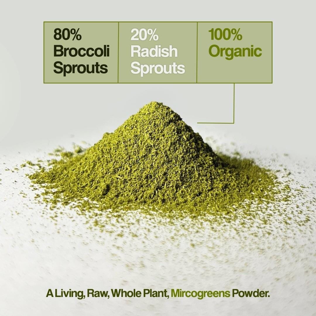 Certified Organic Broccoli Sprout Powder for Dogs & People - Etsy