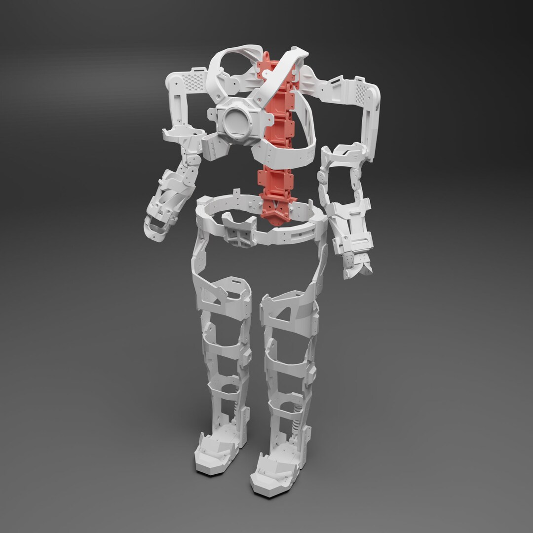 3X0 Exoskeleton Spine - Etsy