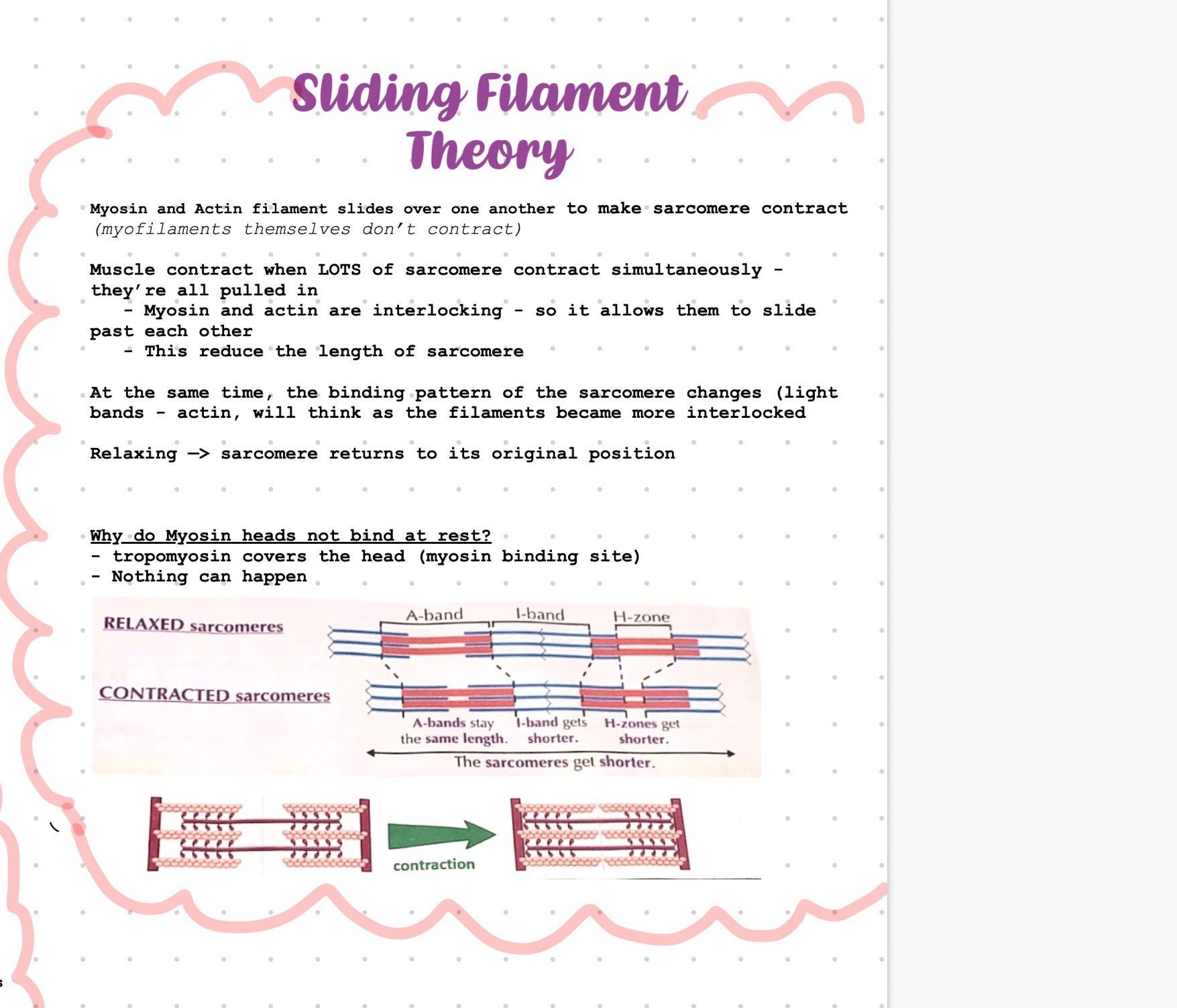 Anatomy Notes| Musculoskeletal System Notes | Adult Nursing Notes ...