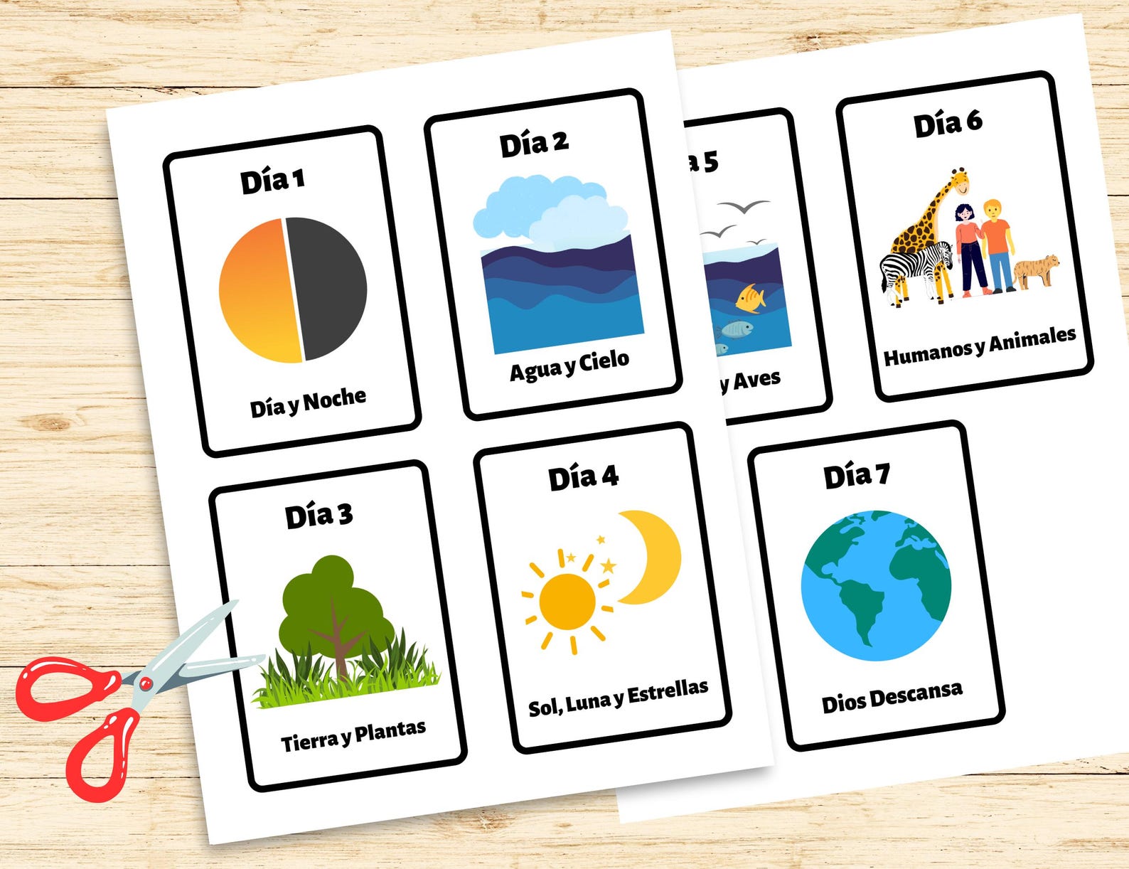 Spanish Days of Creation Flashcards, Bible Story Craft, Sunday School ...