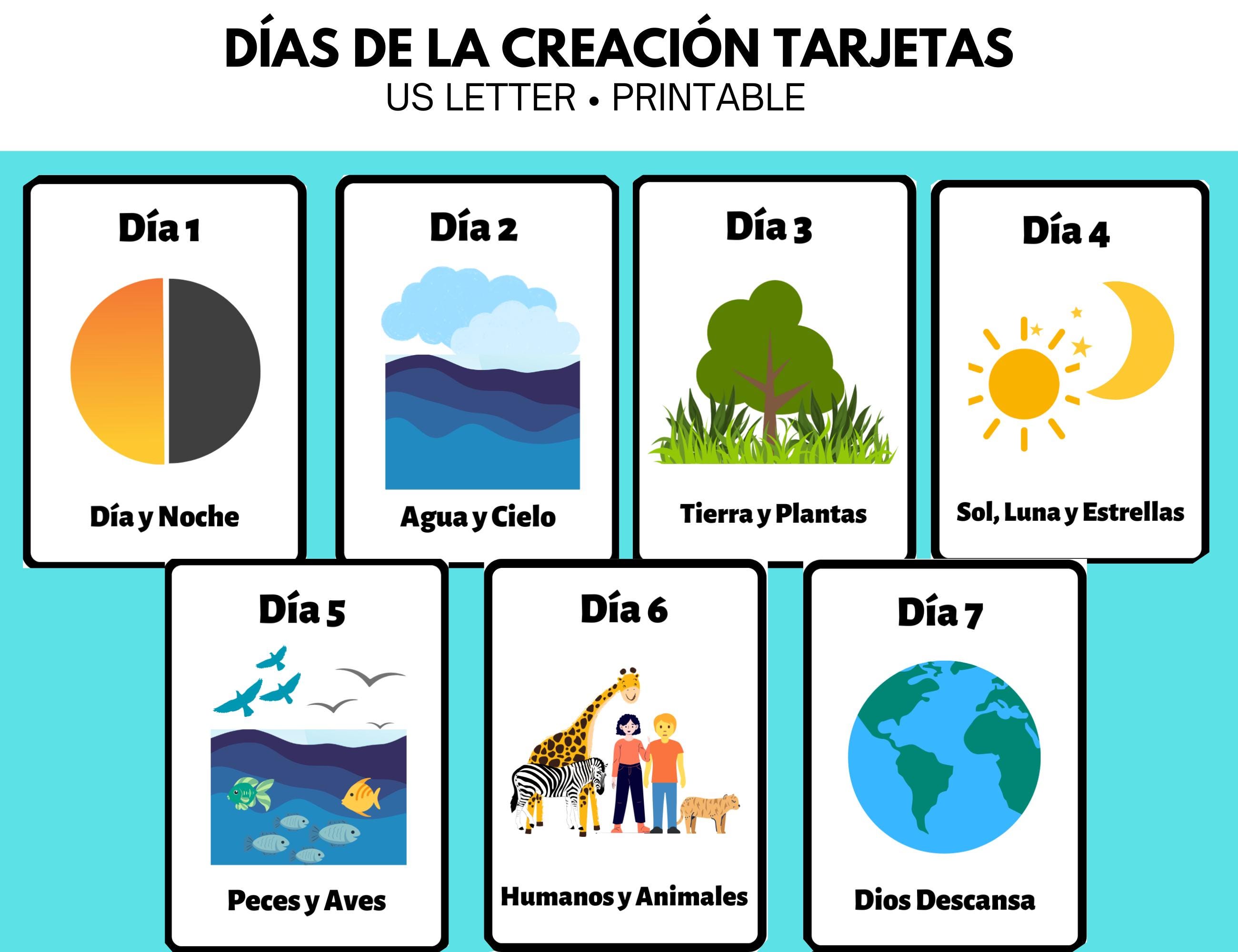 Spanish Days of Creation Flashcards, Bible Story Craft, Sunday School ...