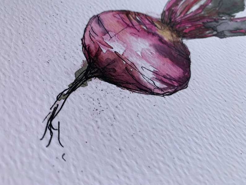 Watercolour Print A4 Beetroot - Etsy