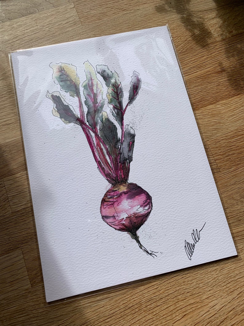 Watercolour Print A4 Beetroot - Etsy