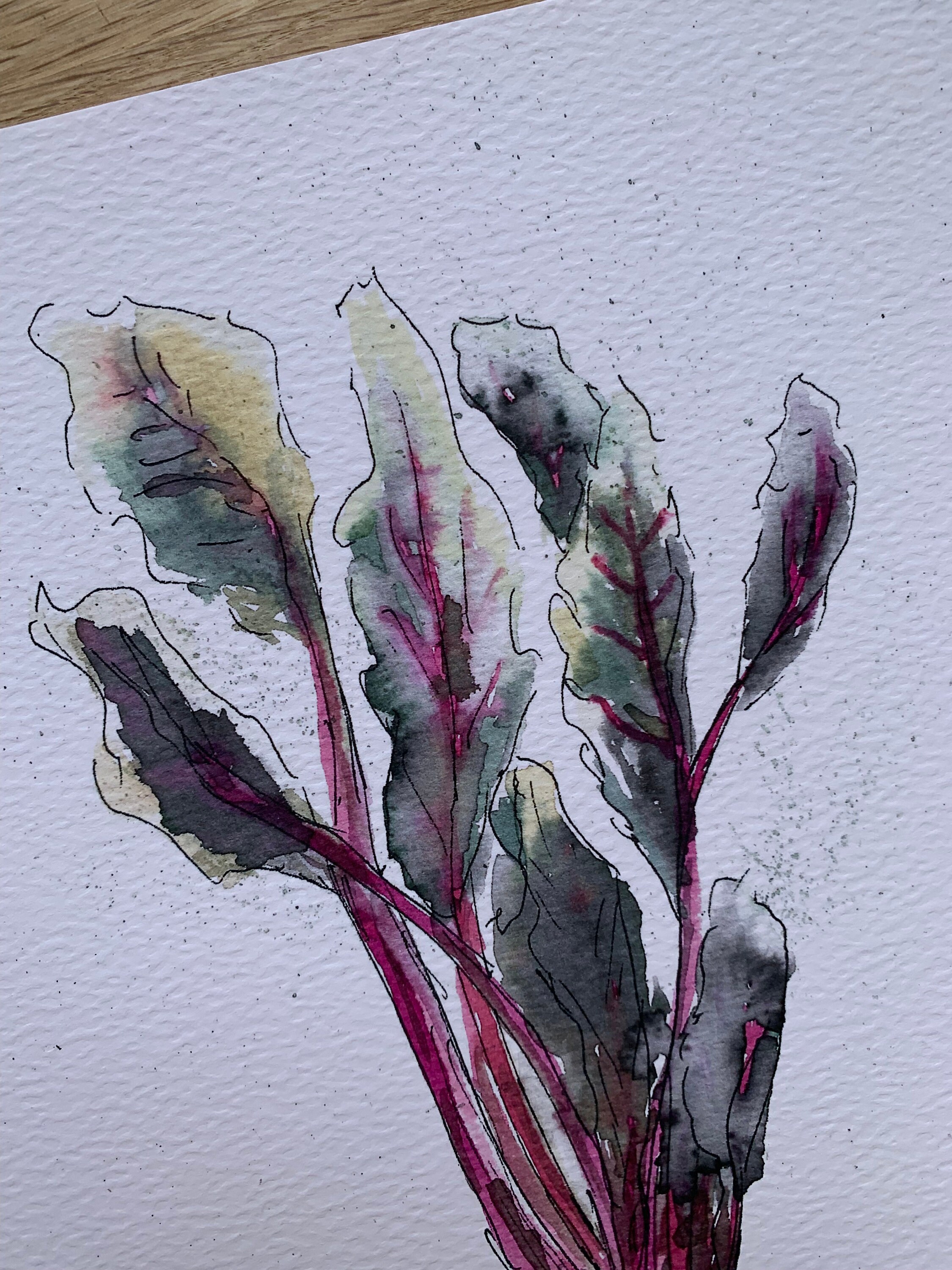 Watercolour Print A4 Beetroot - Etsy