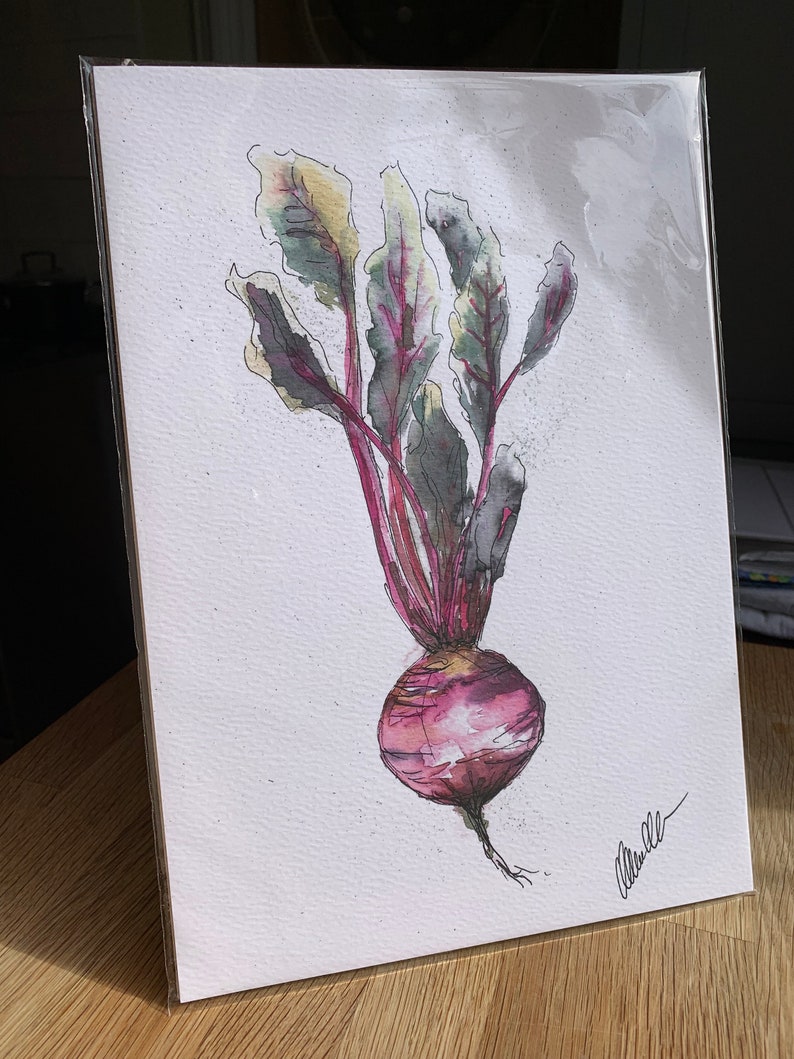 Watercolour Print A4 Beetroot - Etsy