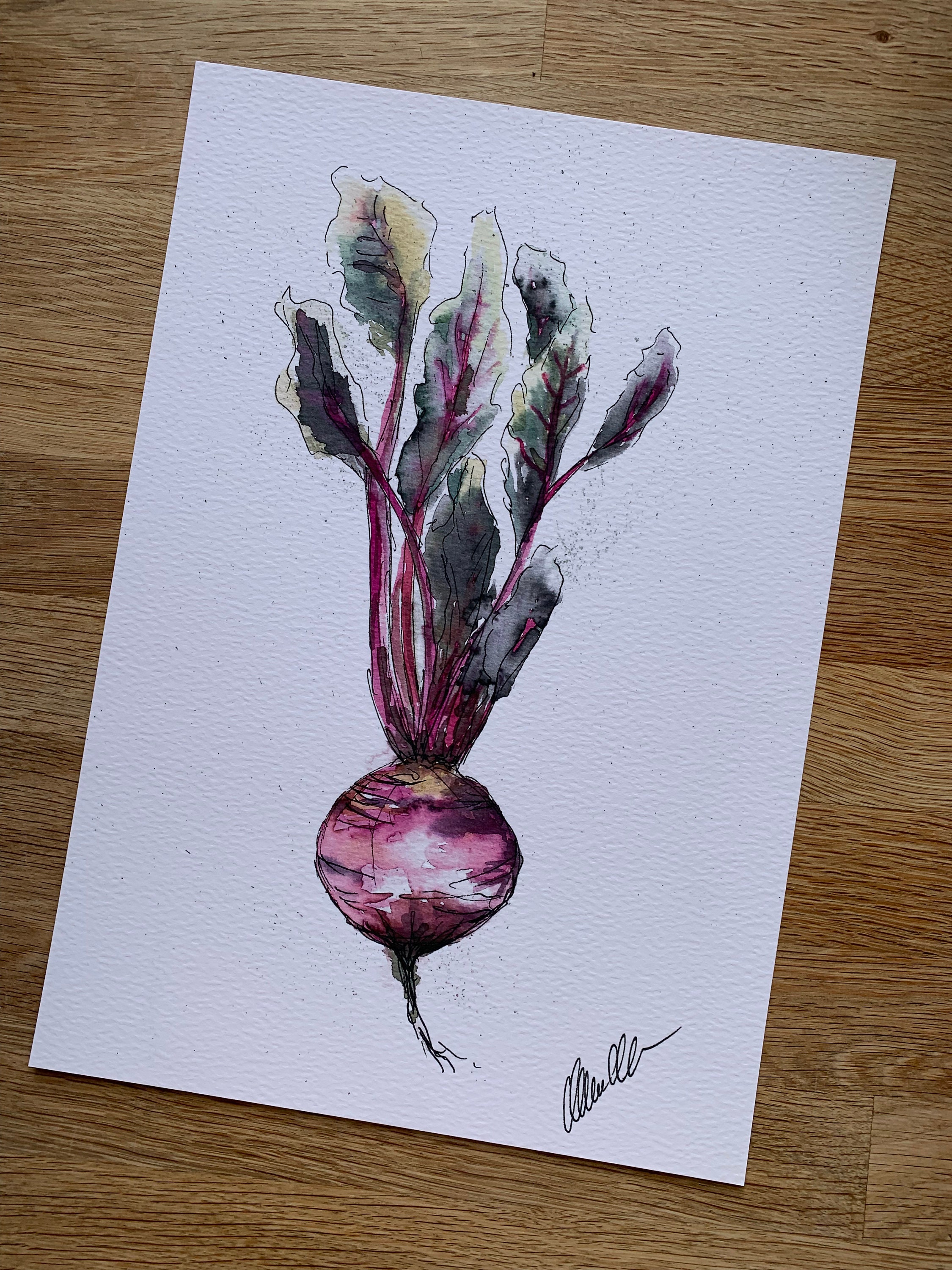 Watercolour Print A4 Beetroot - Etsy